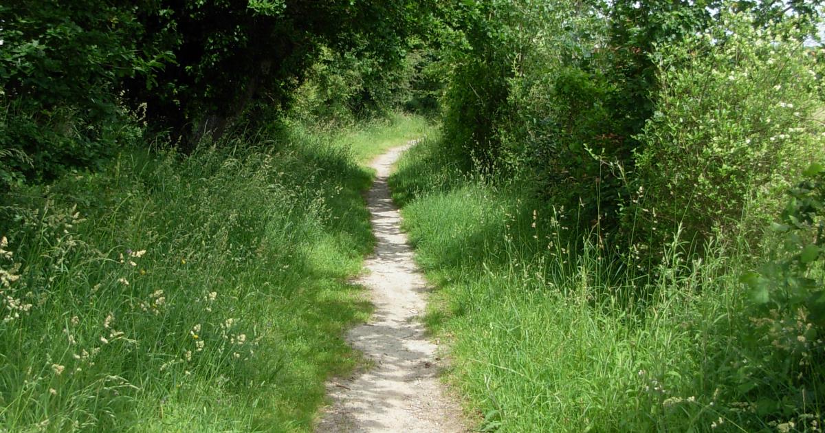 Sentier de promenade N°6 Noyal-sur-Vilaine - Brocéliande - Pays de ...