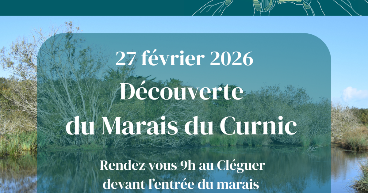 Découverte du Marais du Curnic - Pays de Châteaugiron Tourisme